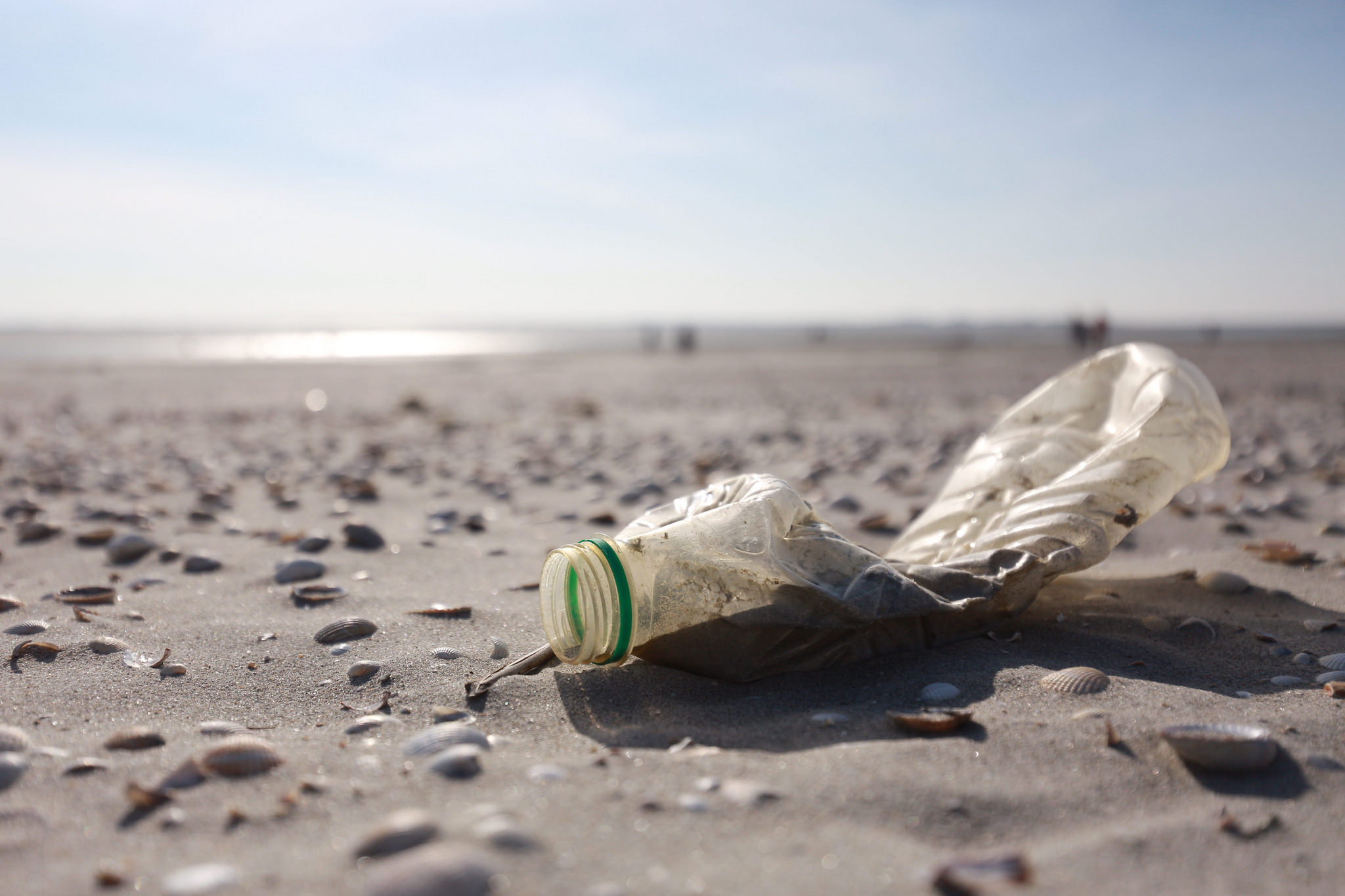 Francis Schaeffer on Hippies and the Mechanistic View of Nature ...